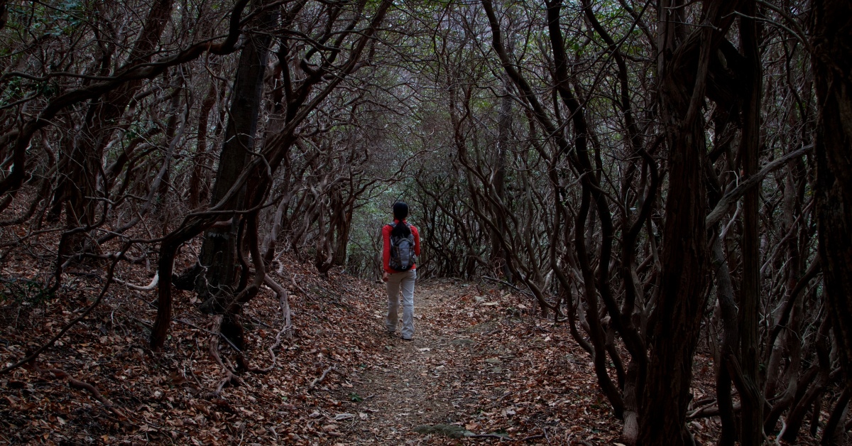 True Ghost Stories: I Saw A Bloody Spirit In The Woods